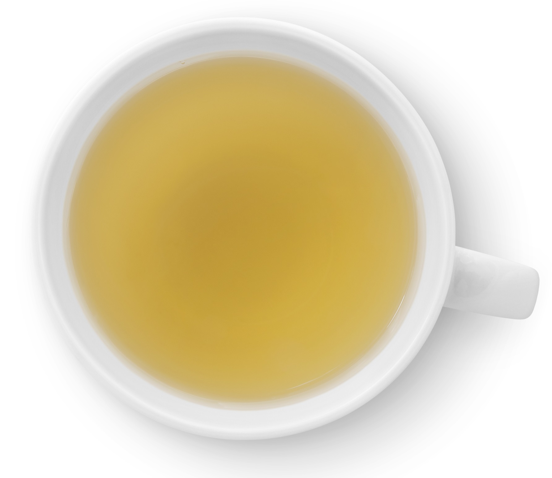 Wellbean Co Order Online